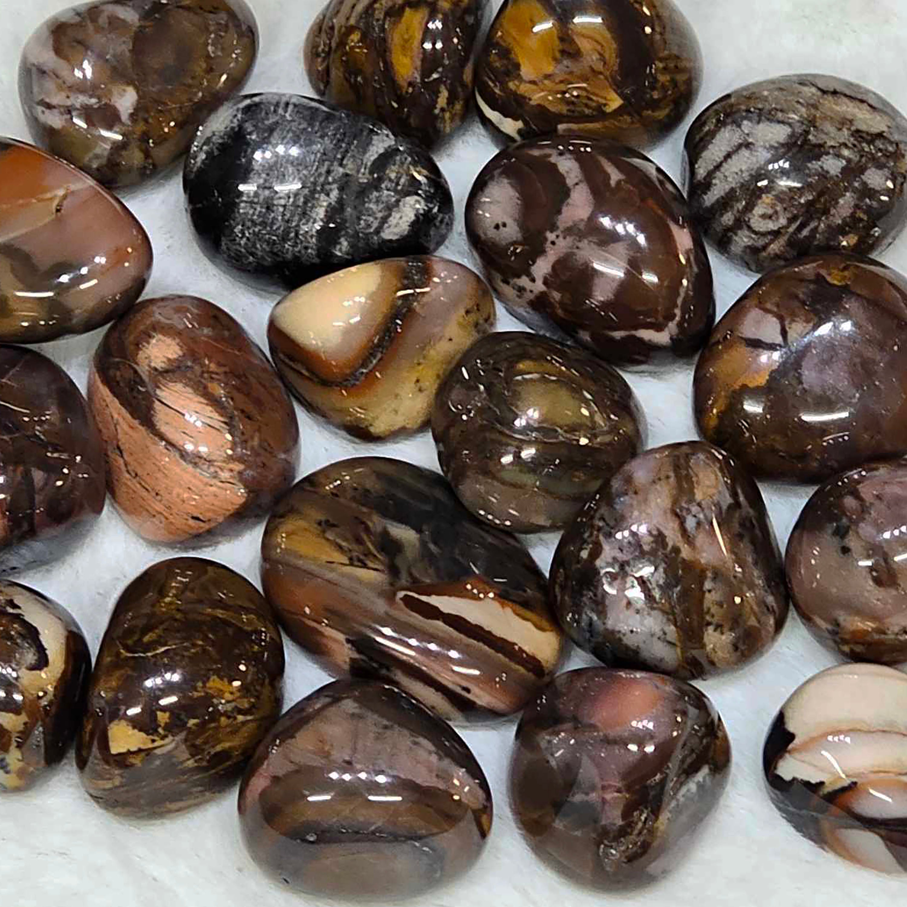 Bamboo Leaf Agate Tumbled Stone