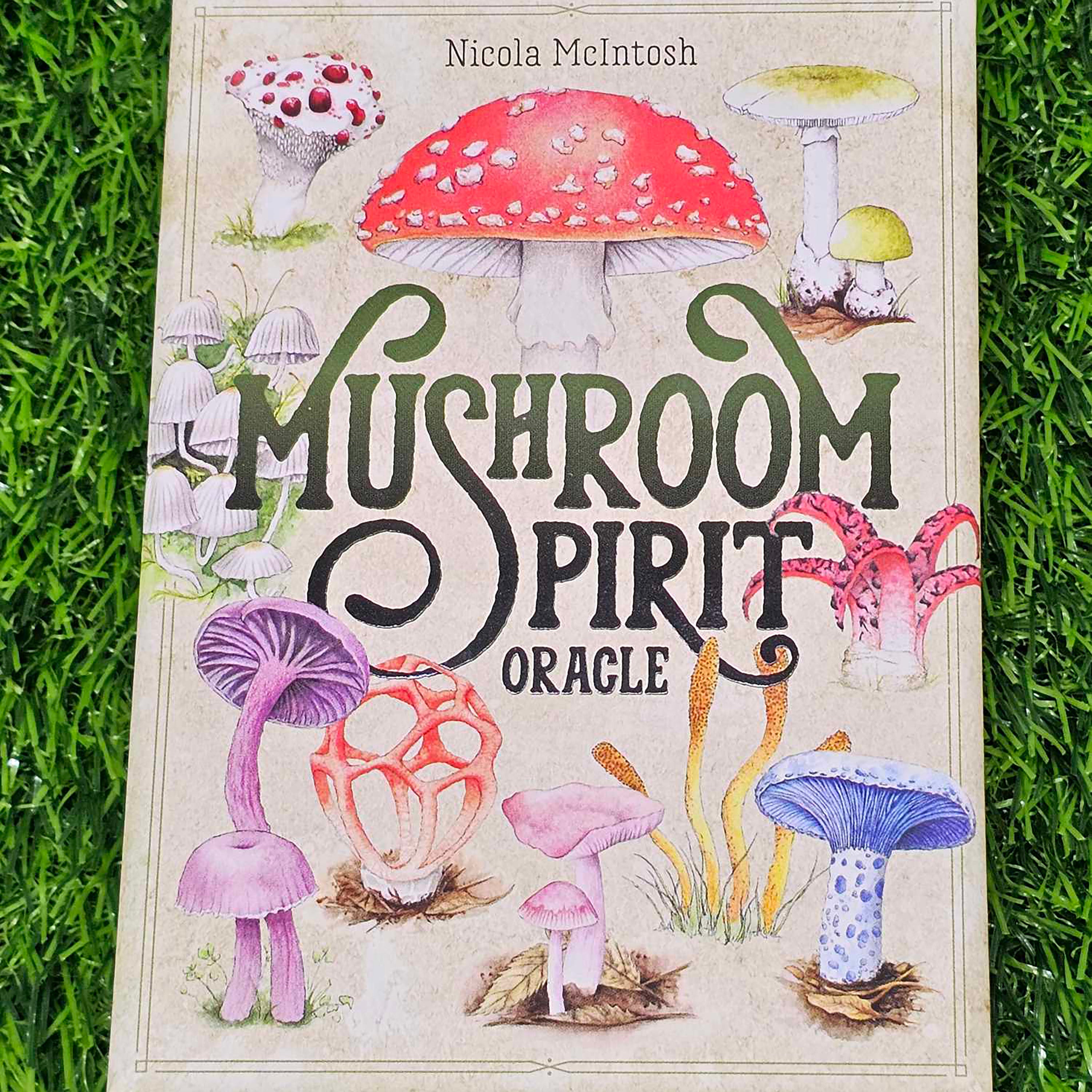 Mushroom Spirit Oracle Deck