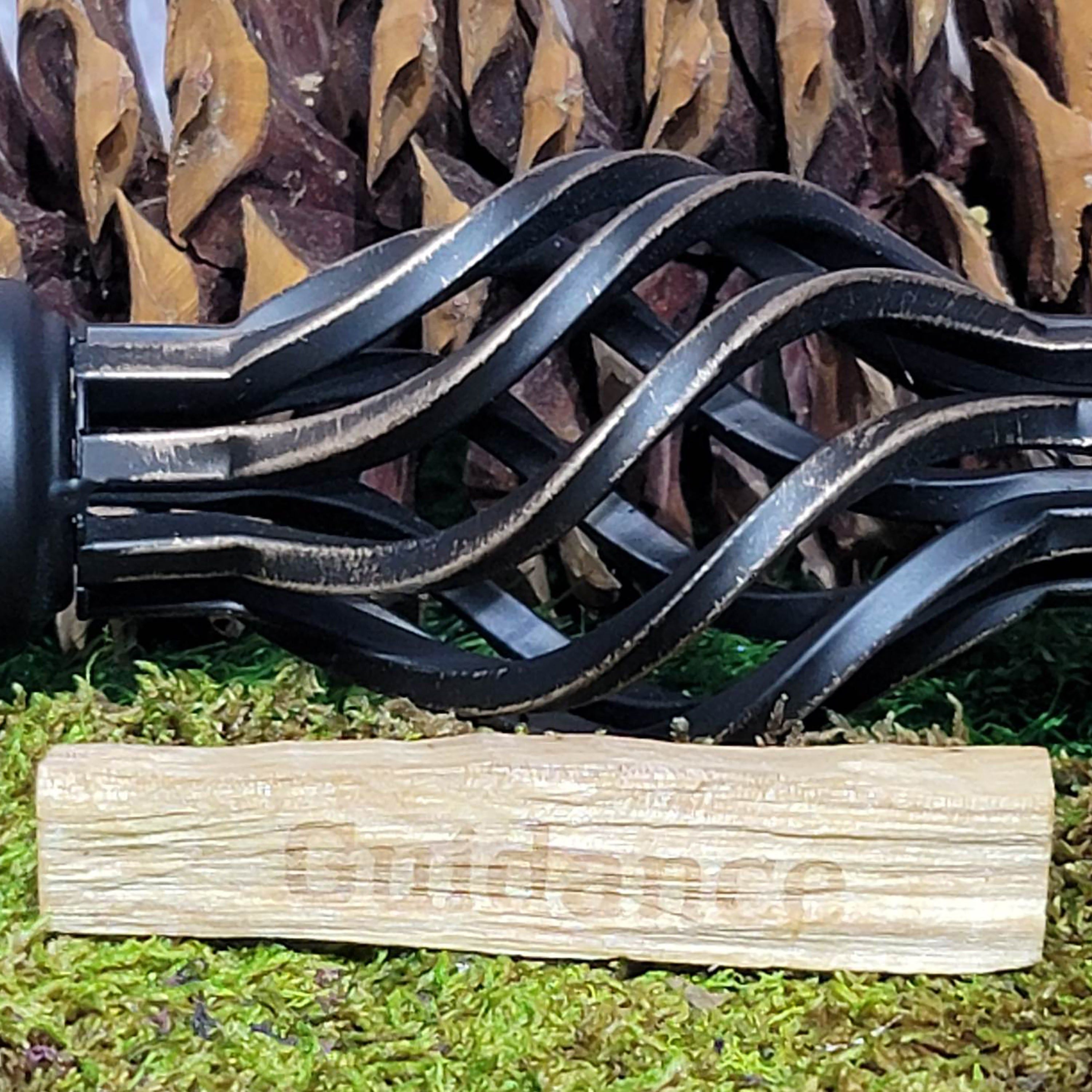 Palo Santo Stick - Guidance 4"