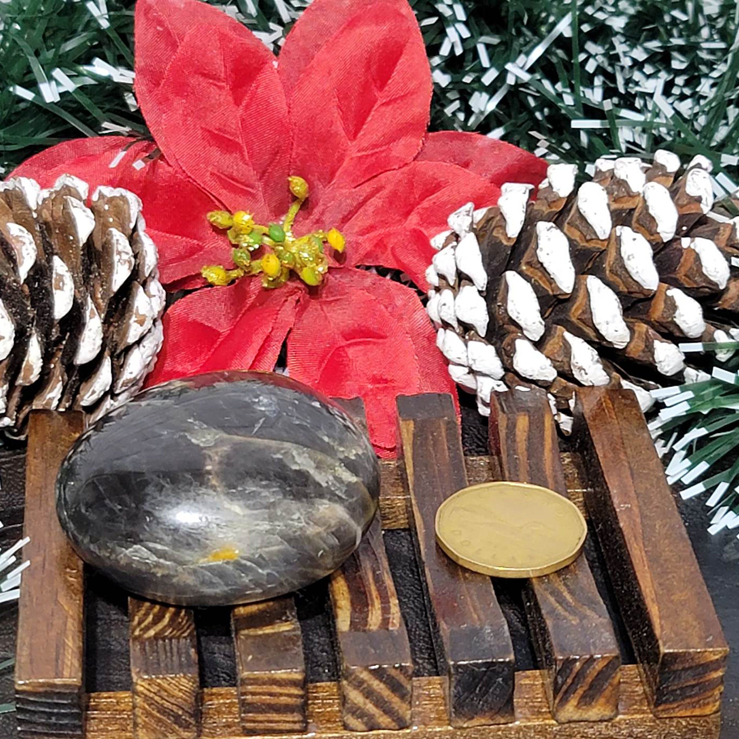 Palm Stone - Black Moonstone 2" - 2.5"